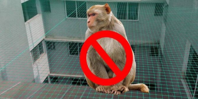 Monkey Protection Nets in Bangalore | Call 7676882963 for Quote